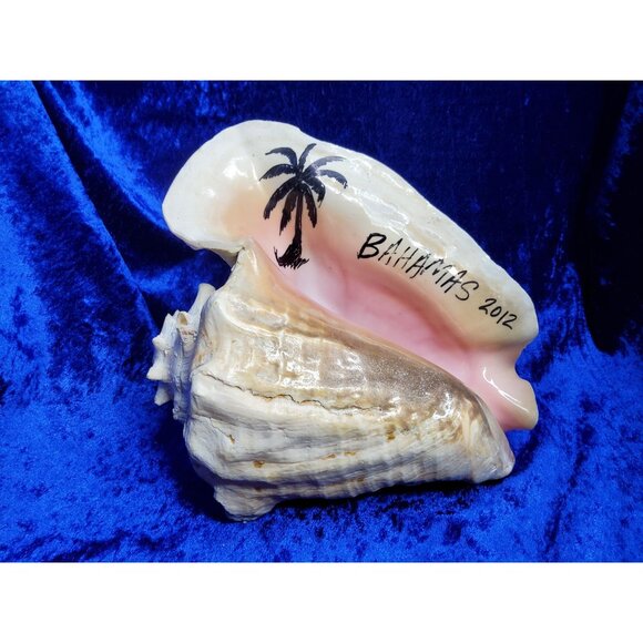 Unique Vintage | Accents | Large Bahamian Queen Conch Pink Souvenir ...
